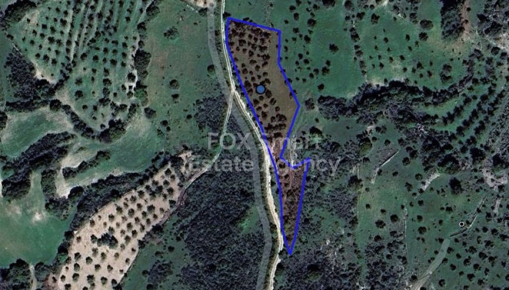 Land, For Sale, Paphos, Lysos