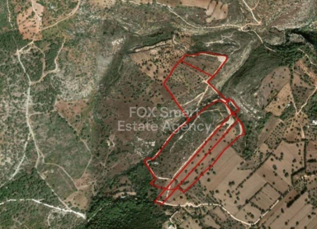 Land, For Sale, Paphos, Neo Chorio